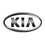 Car Navigation and Audio Repair Service
